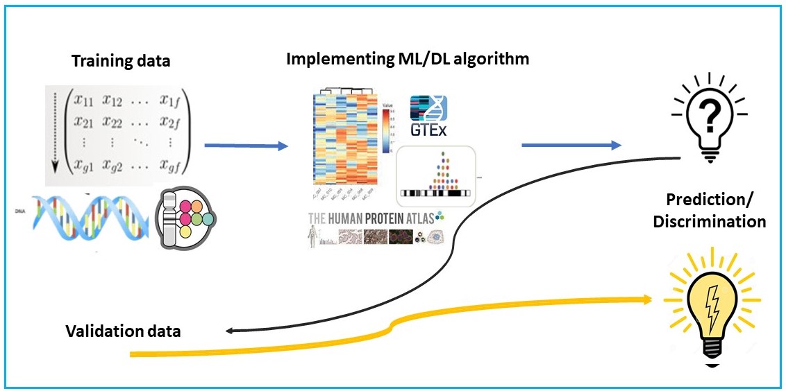 AI + Genomics AI + Genomics
