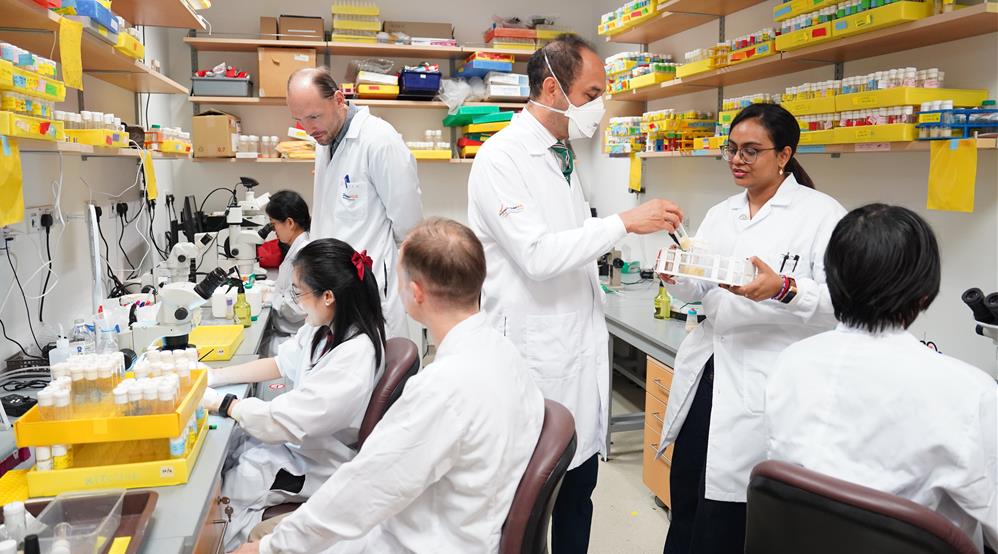 Duke-NUS researchers develop new light-controlled ‘off switch’ for ...