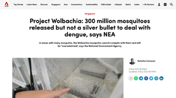 Project Wolbachia: 300 million mosquitoes released but not a silver ...