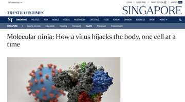 Molecular ninja: How a virus hijacks the body, one cell at a time ...