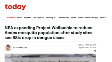 NEA expanding Project Wolbachia to reduce Aedes mosquito population ...