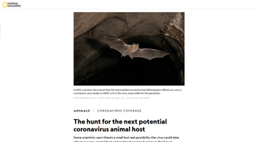 The hunt for the next potential coronavirus animal host (National ...