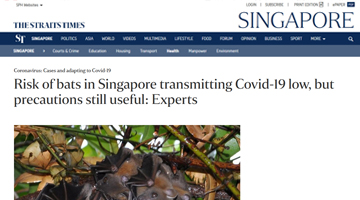 Risk of bats in Singapore transmitting Covid-19 low, but precautions ...