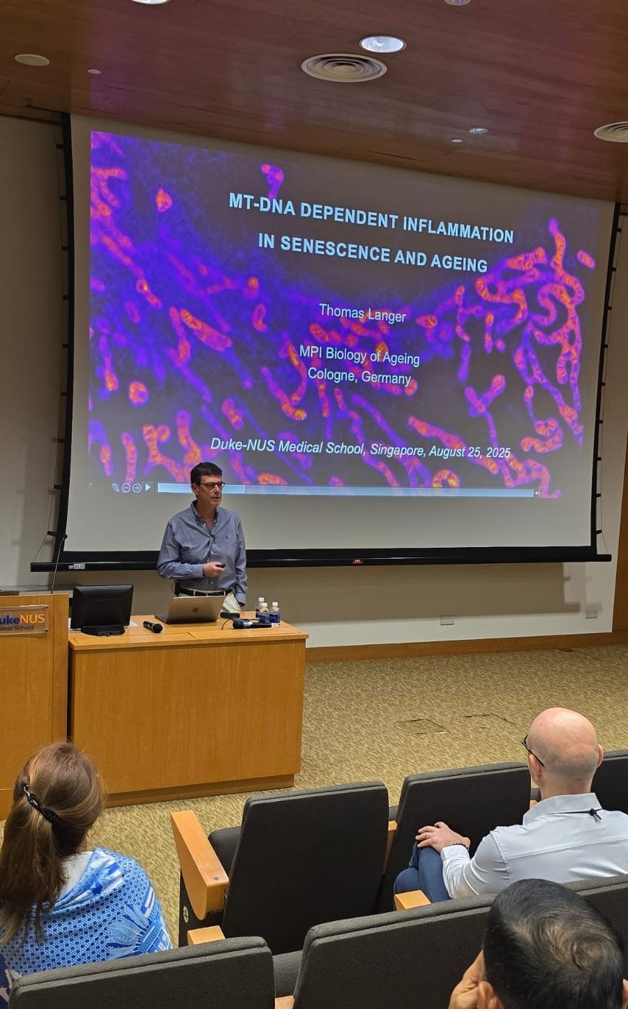 Professor Thomas Langer Shares Study Insights at CVMD Research Seminar