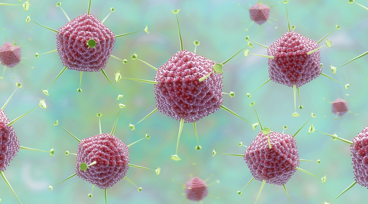 Adenovirus type 4 infections more common than thought, large-scale ...